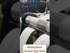 Zhongshen Polypropylene Egg Collection Conveyor Belt – Customization Width