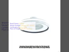 Factory Led Ceiling Fan 2022 New Trending Smart Remote Control 23 Inch Bedroom Ceiling Fan Light