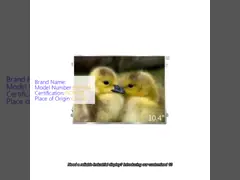 China 10.4 Inch IPS LCD Display Industrial TFT IPS Screen 1024x768 Resolution With 60 PIN LVDS for sale