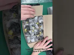 Apollo Kleine Spuitmond voor Dynapac Wegenwals CC950 4812124321