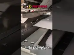 PRY-95 Automatic Hot Stamping Machine with Servo