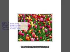 Industrial Custom TFT Display 19 Inch LCD Screen Displays 1280x1024 30 PIN LVDS