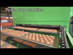 China Professional Recycling Paper Pulp Egg Tray Molding Machine Egg Tray Production Line PLC Controlled for sale