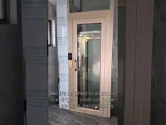 China Personal Hydraulic Home Elevator | 500kg Naked Cabin Design for sale