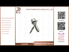 China L254PBD Diesel Injector Nozzle 30g for R05701D/R04301D with Control Valve 28278897 for sale