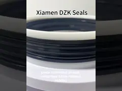 China TPM-492393/492413  Combination Seal Engineering Plastic Oil Seal Five-Piece Combination Oil Seal for sale