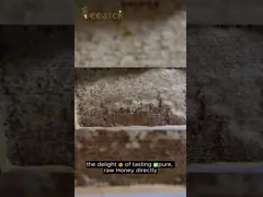 100% Organic Raw Honey Natural Bee Honey from China Healthy Food