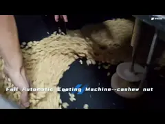 Macchina automatica per rivestimento di noci in acciaio inossidabile per arachidi, mandorle e anacardi