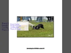 China 240x320 Customized TFT LCD Module Wide Temp Automotive TFT LCD Display 2.4 Inch for sale