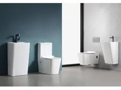 Bathroom Sanitary Wares -2