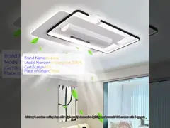 Manufacturer High Quality Decorative Indoor Ceiling Fan Modern HFBH Ceiling Fan With Light and Remote Control