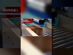 China Revolutionize Palletizing With Palletizing Visual Recognition Technology for sale