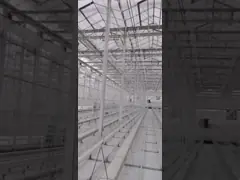 China Green Plant Garden Tempered Glass Greenhouse For Large Ornamental Flowers for sale