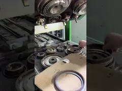 Automotive Oil Seals