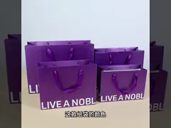 China Custom Printed Kraft White Gift Bags with Reinforced Thickness for sale