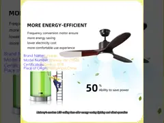 China Manufacturer Modern Energy Saving Indoor Fan Lamp Decoration Plywood Blades Remote Control 48inch Modern Led Ceiling Fans for sale