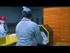 China Spin Ez Airplane Aircraft Spare Parts Tempest Original Oil Filter AA48110-2 for sale