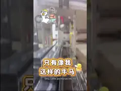 China Soundproof Glass Curtain Wall Panels 1.4-5.0mm Energy Saving Waterproof Panels for sale