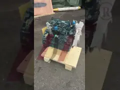 China Excavator Machinery Engine D1105-EF09_CN4 Diesel Engine Assembly for sale