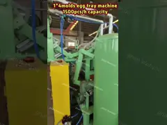 Recycelte Papier-Eierkarton 100 Stück Zellstoff-Tray-Maschine