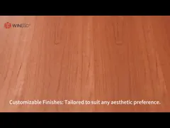 Micro Perforated Acoustic Wood Wall Panels Sound Barrier Sheets 1200X600 2400x1200mm