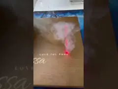 China Permanent Laser Marking Engraving Machine For Leather Fabric Bamboo And Wood Crafts for sale