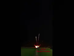 Color Smoke Pyrotechnics Wholesale Professional Display Fireworks 1.3g Daytime Cake Fireworks