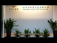 Light Therapy Lamp Manufacturer – Premium SAD Lamps from ISO-Certified Factory