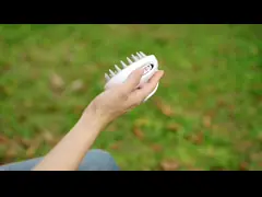 China CE FCC RoHs Soft Bristle Hair Brush Hair Wash Massage Brush For Wet And Dry Use for sale