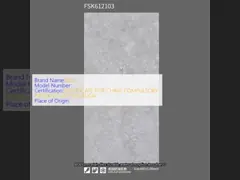 Durable and Water Absorption Less Than 0.5% Thinset Mortar Installation Method for Indoor Porcelain Tiles