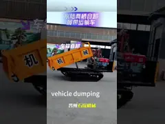 Different Loading Capacities Diesel Engine Crawler Track Undercarriage For mechine