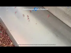 Macchina per la tostatura di frutta secca a controllo PLC da 500 kg/h per uso industriale