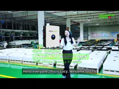 CTS 48v 5kwh 10kwh Lifepo4 powerwall home energy storage lithium battery 51.2v 100ah 200ah
