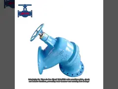 Three-in-one Check Valve
