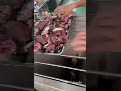 China JYR-120 Industrial Meat Grinder Machine 5.5KW for Frozen Meat 800-1200KG/H for sale