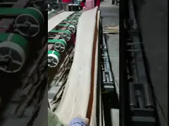 White Oak Crown Cut Veneer AAA Grade