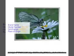 1024x768 Resolution TFT LCD Display Module LVDS TFT LCD Touchscreen 15 Inch