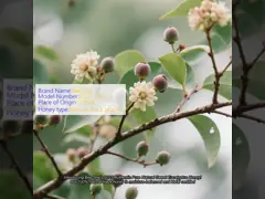 New Product Authentic Pure Eucalyptus Honey Best Selling Health Food Bulk Packaging Halal Certified