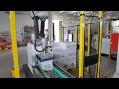China collaborative robot palletizing system with low price and high efficiency reduce labor cost for sale