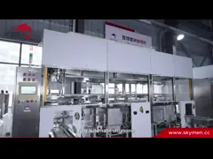 Skymen Hydrogen Energy Full Automatic Ultrasonic Cleaner | Precision Cleaning for Bipolar Plates
