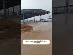 China 50 Year Steel Poultry House For Broiler Layer Farms With Insulated Panels Livestock Housing Solution for sale