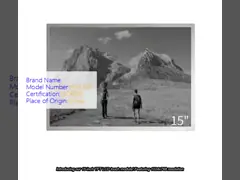 15 Inch TFT LCD Modules IPS LVDS Touch Screen 1024x768 Resolution