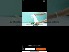 China Customizable Compostable Mailing Bag Matte PLA Compostable Bags Eco Friendly With Flexiloop Handle for sale