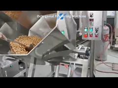 China Customizable Automatic Mixing Nut Flavoring Machine Octagonal Snack Seasoning Machine for Food Industry for sale