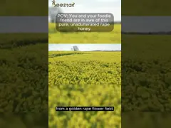 100% Pure Raw Honey Natural Rape honey Natural Bee Honey without any Additives Health Food