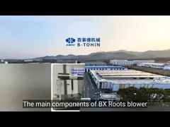 DN40 0.42-1.42 M³/min Soffiatore Roots in Acciaio Inossidabile per Gas Speciali