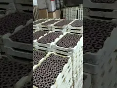 EMI Suppression Core