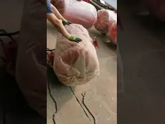 China High Pressure Vessel High Temperature Air Cannon / Air Blaster For Oilfield Drilling Industry for sale