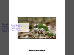 China 18.5 Inch IPS LCD Displays 1920x1080 Resolution HD TFT Display With LVDS Dual Port for sale