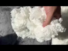HCS fiber  4